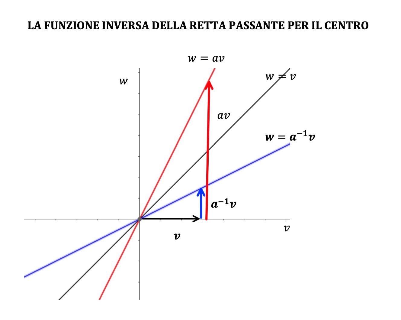LE APPLICAZIONI LINEARI - Andrea il Matematico