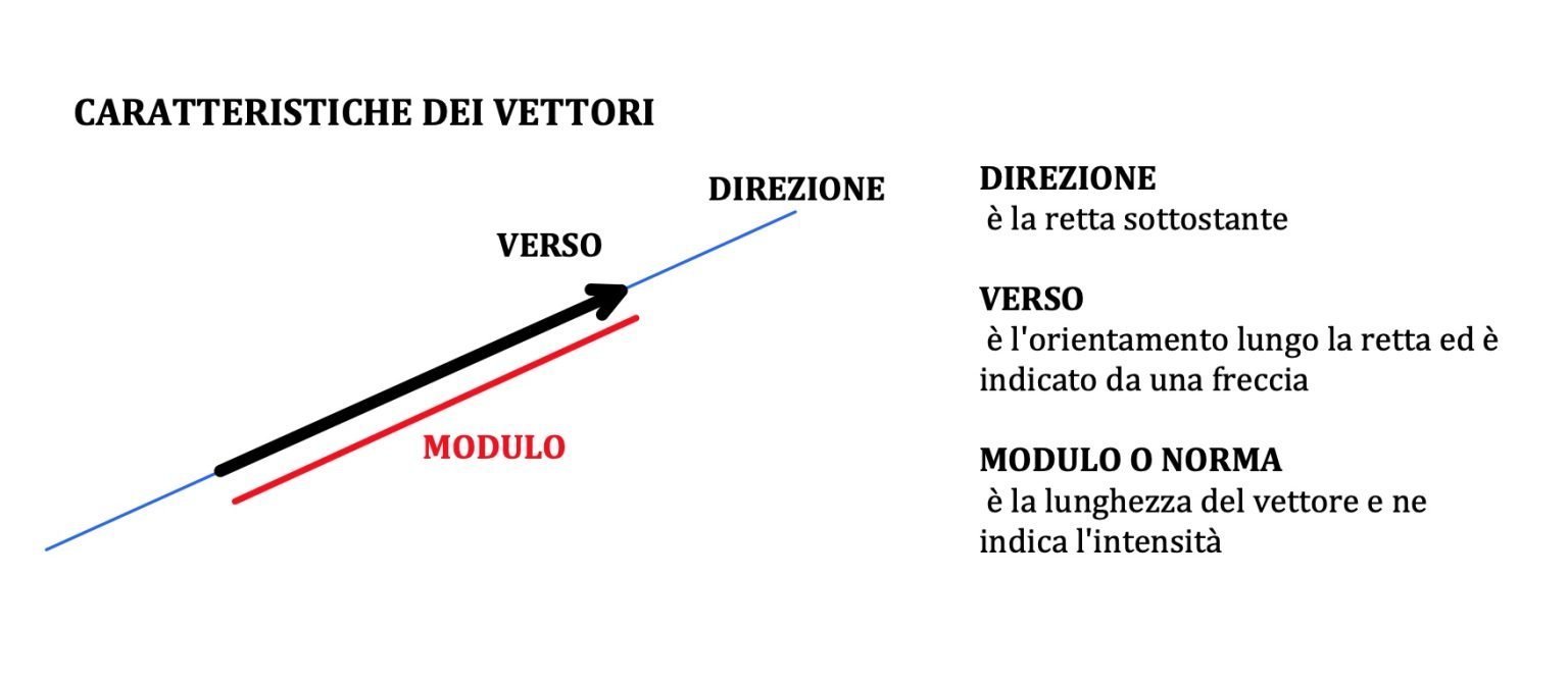 I VETTORI - COSA SONO ? - Andrea il Matematico