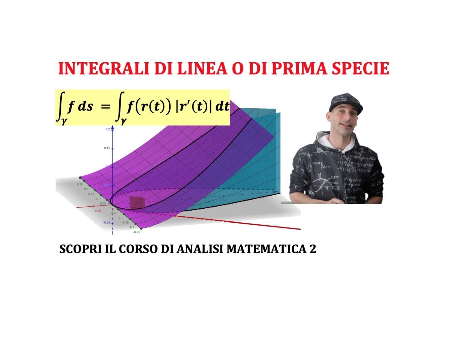 INTEGRALI DI LINEA O PRIMA SPECIE - Andrea il Matematico